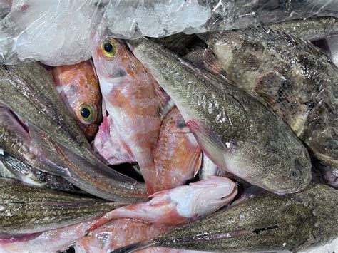 Morralla Para Fumet Grande Del Mediterráneo 1kg