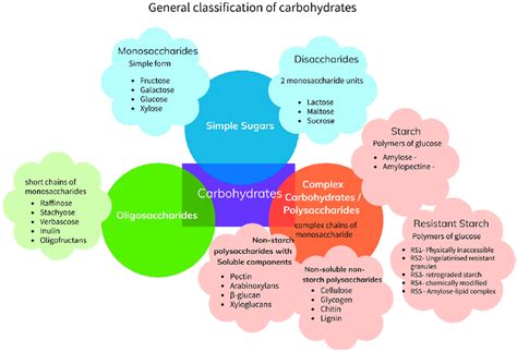 Classification Of Carbohydrates Carbohydrate Types Illustration