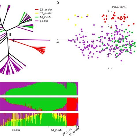 Population Structure Analysis Of Three In Situ Populations A Download Scientific Diagram