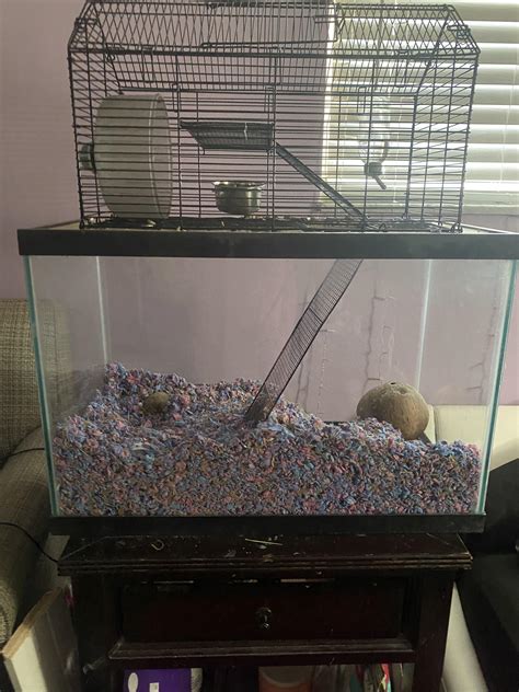 My Gerbil Cage So Far Rgerbil