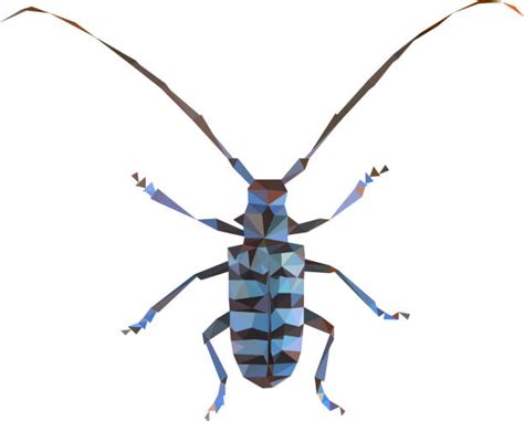 50 Polynomial Stock Illustrations Royalty Free Vector Graphics And Clip Art Istock