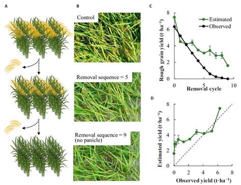 Using Digital Images To Predic Image Eurekalert Science News Releases