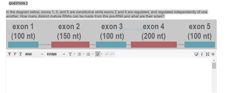 Solved Question 7 Translate The Following Rna Sequence