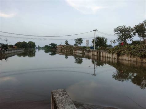 กรมชลประทาน เดินเครื่องผลักดันน้ำและสูบน้ำในพื้นที่ ฝั่งตะวันตกตอนล่างเต็มศักยภาพ Thailand