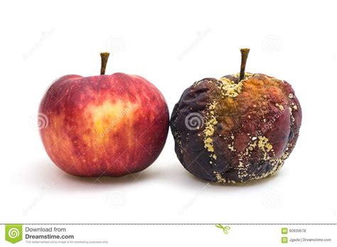 APPLE Object Detection Dataset And Pre Trained Model By Project Jtsxu