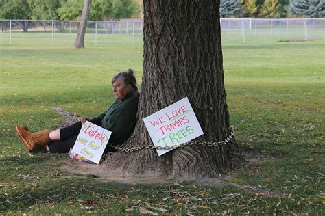 Citizen Locked On To Sandpoint Park Tree Coeur Dalene Press