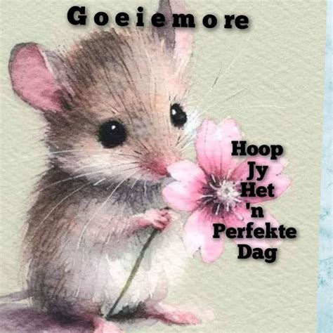 Pin P Spesiale Vriendin I