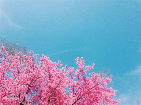 Win A Customizable Phone Case With Casetagram