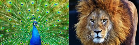 The War To Annihilate Sex Arty Morty S Substack