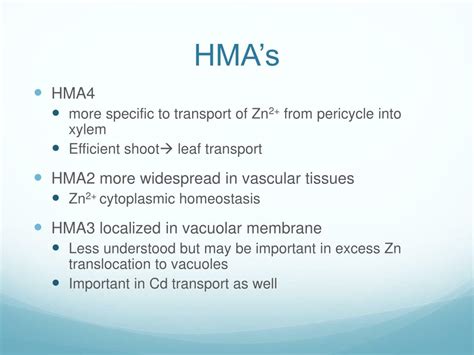 Ppt Zinc Uptake And Storage In Arabidopsis Thaliana Powerpoint