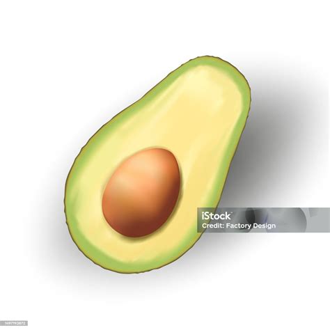 흰색 배경에 3d로 된 사실적인 녹색 아보카도 3차원 형태에 대한 스톡 벡터 아트 및 기타 이미지 3차원 형태 건강한 식생활 계절 Istock
