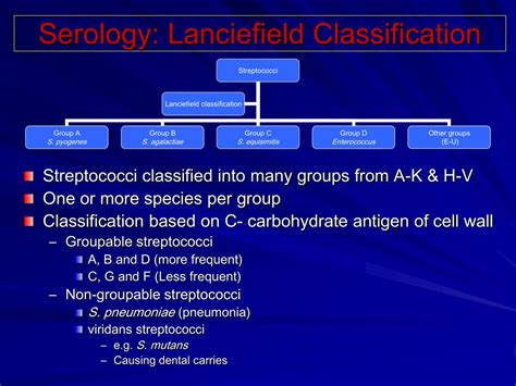 Streptococcus Classification Chart A Visual Reference Of Charts Chart Master