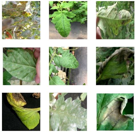 Figure 12 From Design Of A Novel Remote Monitoring System For Smart Greenhouses Using The