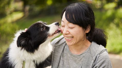 Signs That Your Dog Trusts You