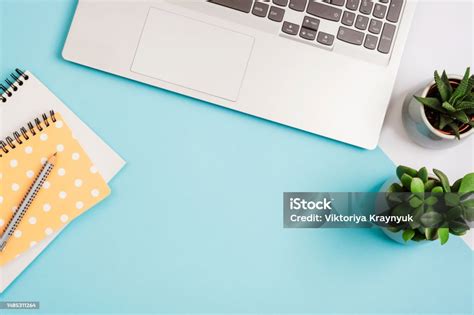 노트북 컴퓨터 메모장 즙이 많은 식물들이 파란 배경에 있다 아늑한 직장 재택근무 개념 평면도 평면도 복사 공간 0명에 대한 스톡 사진 및 기타 이미지 Istock
