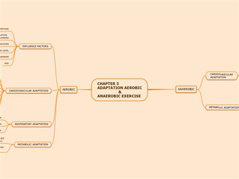 CHAPTER 3 ADAPTATION AEROBIC Mind Map