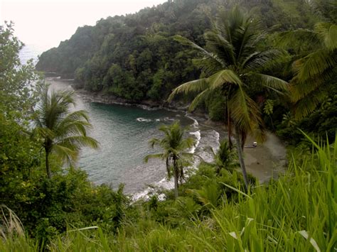 Top 10 Facts About Living Conditions In Dominica The Borgen Project