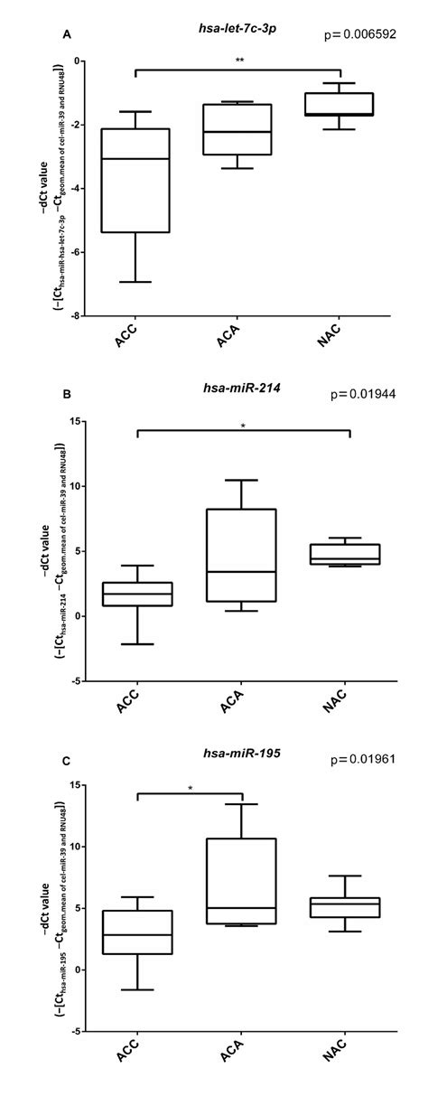 Exploratory Circular Rna Profiling In Adrenocortical Tumors