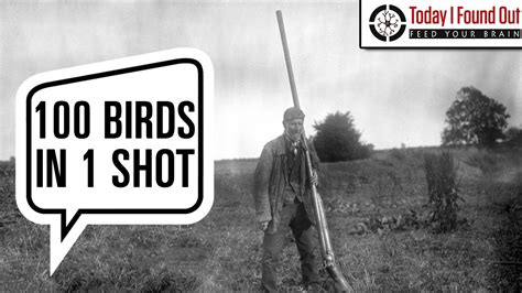Punt Gun