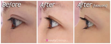 Japan Must Buy Shiseido Eyelash Curler Mybeautycravings
