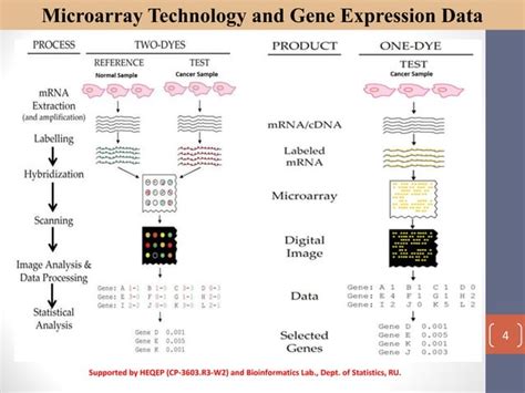 Robust Prediction Of Cancer Disease Using Pattern Classification Of Microarray Gene Expression Ppt