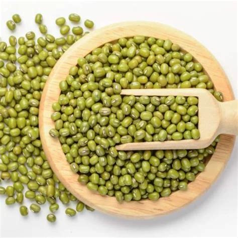Indian Pusa Baisakhi Organic Green Moong At ₹ 70kg In Dholpur Id