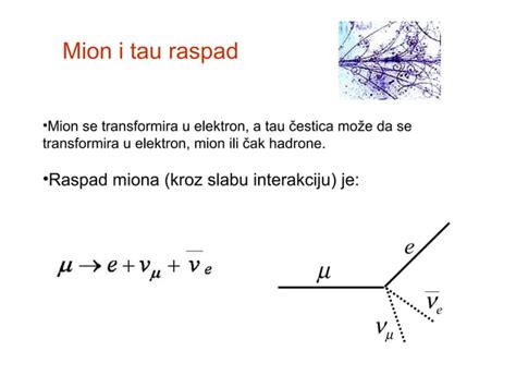 10 Elementarne Cestice Ppt