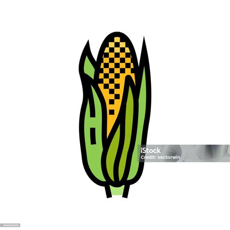 옥수수 속 노란색 식물 색상 아이콘 벡터 일러스트 레이 션 계절에 대한 스톡 벡터 아트 및 기타 이미지 계절 노랑 농업 Istock