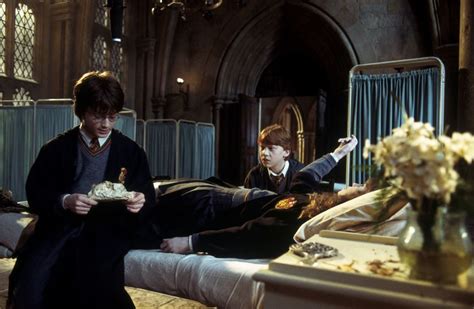 Harry Potter And The Chamber Of Secrets Hermione Petrified Scene