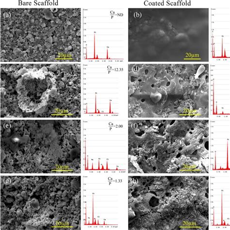 A X‐ray Diffractogram And Ftir Spectrum B Obtained From Syntethized