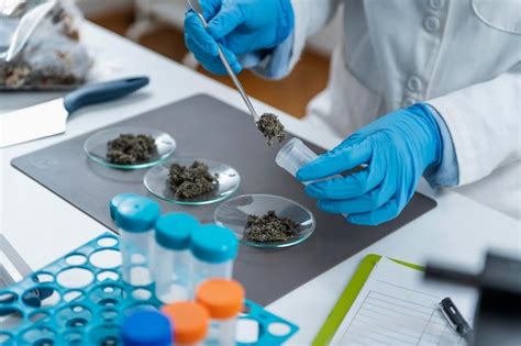 Premium Photo Organic Certification Process In Laboratory