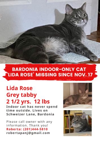 Lida Rose From Bardonia ️ Sponsored By Ulster Savings Bank Lost