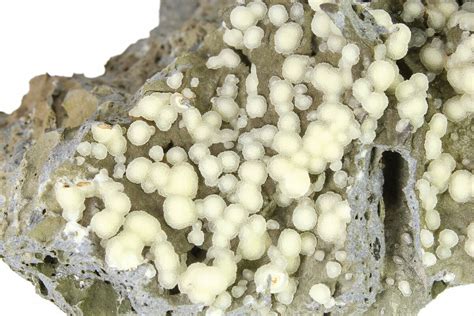 34 Globular Yellow Calcite Formations On Basalt Italy 319193 For