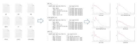 Github Madpk Microplastic Polymer Identification And Visualization