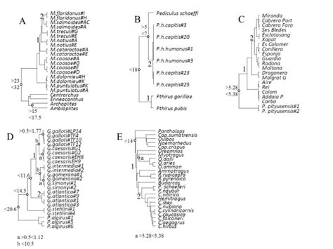 Trees Used For Dating The Five Real Datasets A Black Bass B