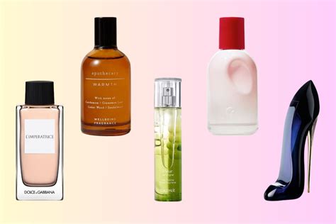 14 Best Long Lasting Perfumes Under £70 Goodtoknow