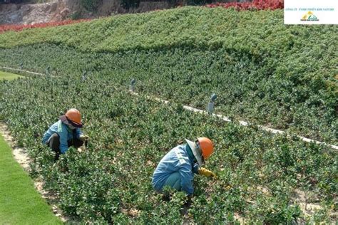 Công ty TNHH Thiên Kim Nature khẳng định thương hiệu Tạp chí Văn Hóa Phát Triển