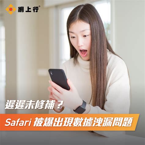 網上行 Netvigator 【safari 爆出嚴重漏洞🔓】 最近有安全公司研究人員指出 Apple 嘅