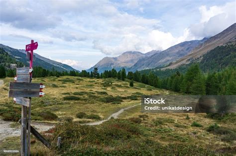 목가적인 Dolomites 산 Adamello Brenta 국립 공원 사우스 티 롤 이탈리아 0명에 대한 스톡 사진 및 기타