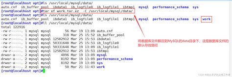 Mysql数据库备份策略与实践详解 Csdn博客