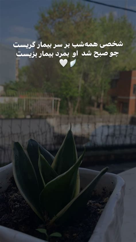 روزمرگیحال خوب‎ ‎چی میشه که با اینکه میدونیم این شخص ادم اشتباهیه