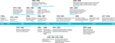 Fibronectin Matrix Assembly At A Glance Journal Of Cell Science The