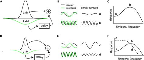 Temporal Filtering By Center Surround Receptive Field Antagonism A