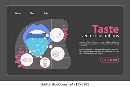 Taste Illustration Depiction Gustatory System Symbols Stock Vector