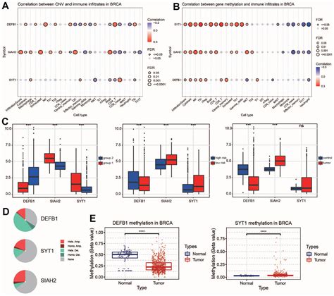 Subtype Recognition And Identification Of A Prognosis Model Characterized By Antibody Dependent