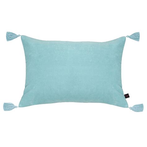 Duckegg Blue Tassel Cushion Ragged Rose