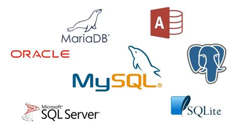 Why You Should Learn Sql 365 Data Science