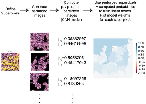 Sensors Free Full Text Local Interpretable Model Agnostic