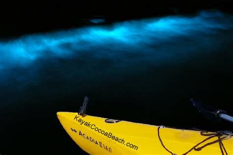 Bioluminescence Florida Kayaking Cocoa Beach Merritt Isl