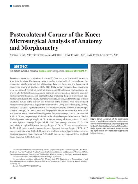 Pdf Posterolateral Corner Of The Knee Microsurgical Analysis Of Anatomy And Morphometry